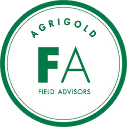 Agrigold