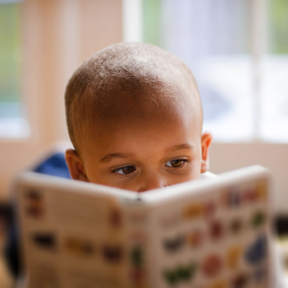 Boy Reading A Book