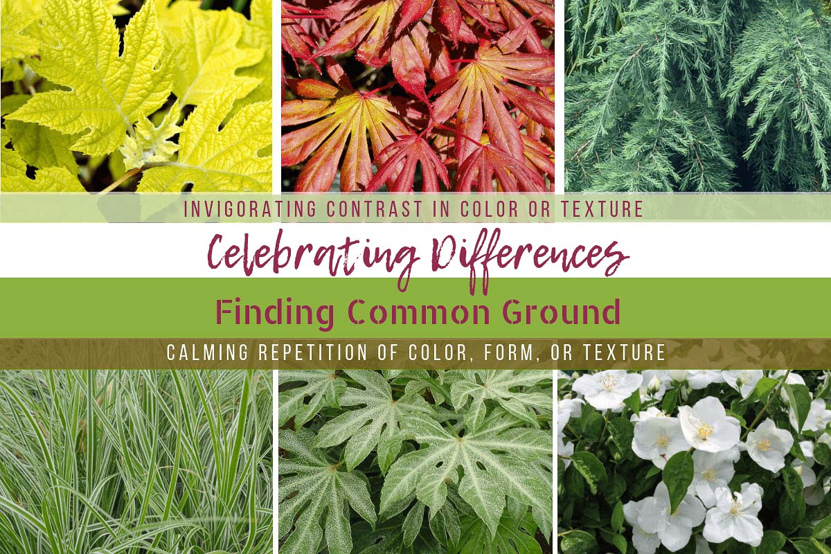 Successful Plant Combos is a Balancing Act