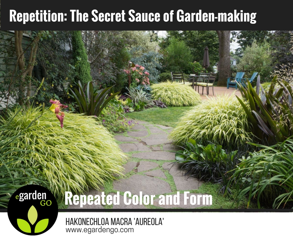 Garden Making Tip: Using Repetition in the Garden