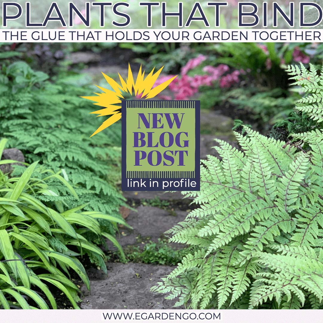 Favorite Plant Binders—Use These in Multiples as Garden Glue